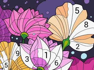 Anycolor by Numbers game play free online