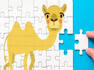 Bactrian Camel Puzzle Challenge game play free online