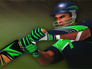 Batter Cricket Challenge game play free online