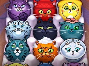 Cat Sorter Puzzle game play free online