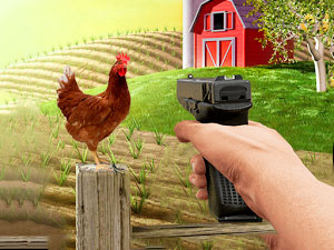 Chicken Shoot game play free online