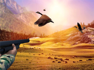 Duck Hunter game play free online