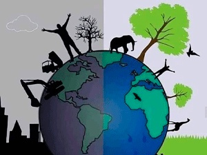 Eco Ego game play free online