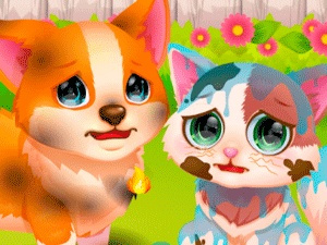 Funny Pet Rescue game play free online