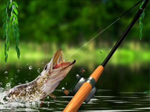 Morning Catch Fishing game play free online