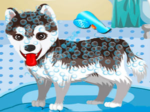 My Cute Dog Bathing game play free online