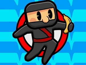 Parakite Ninja game play free online