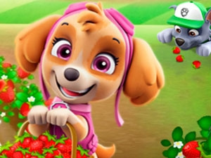 Paw Patrol Garden Rescue game play free online