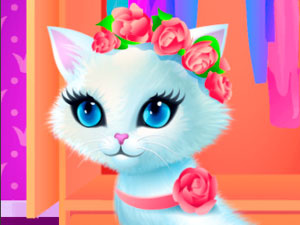 Princess Kitty Care game play free online