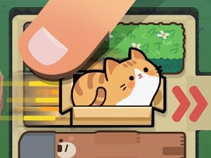 Push Push Cat game play free online